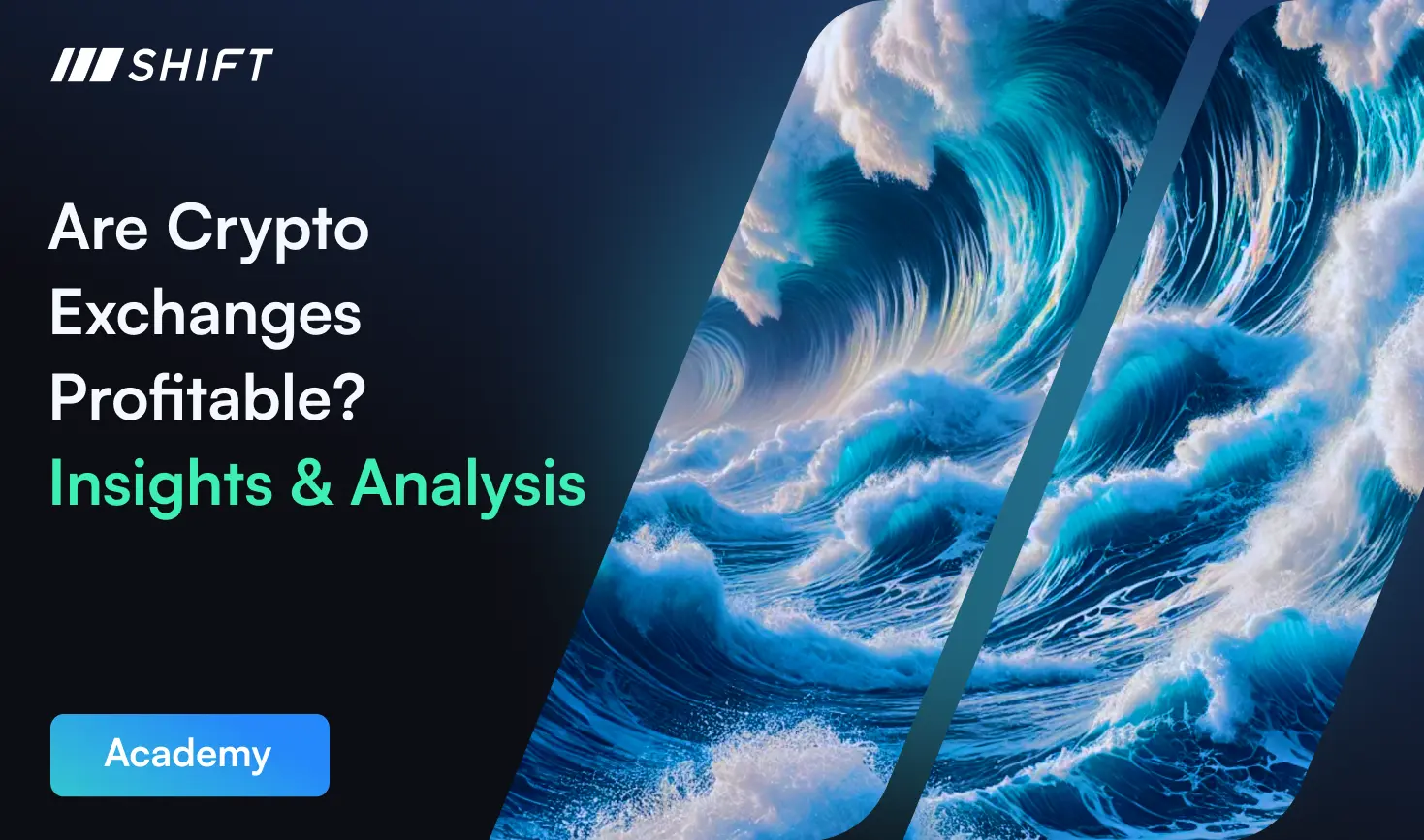Are Crypto Exchanges Profitable? Insights & Analysis - Shift Markets